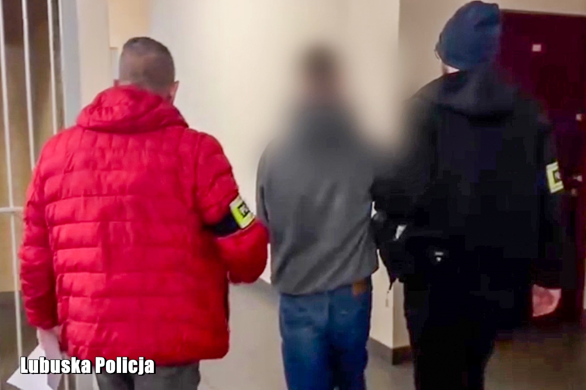 Podejrzani o serie przestępstw zatrzymani przez policjantów ...